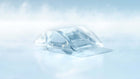 Hoshizaki Self Contained Crescent Ice Maker 75kg KM-80C HC